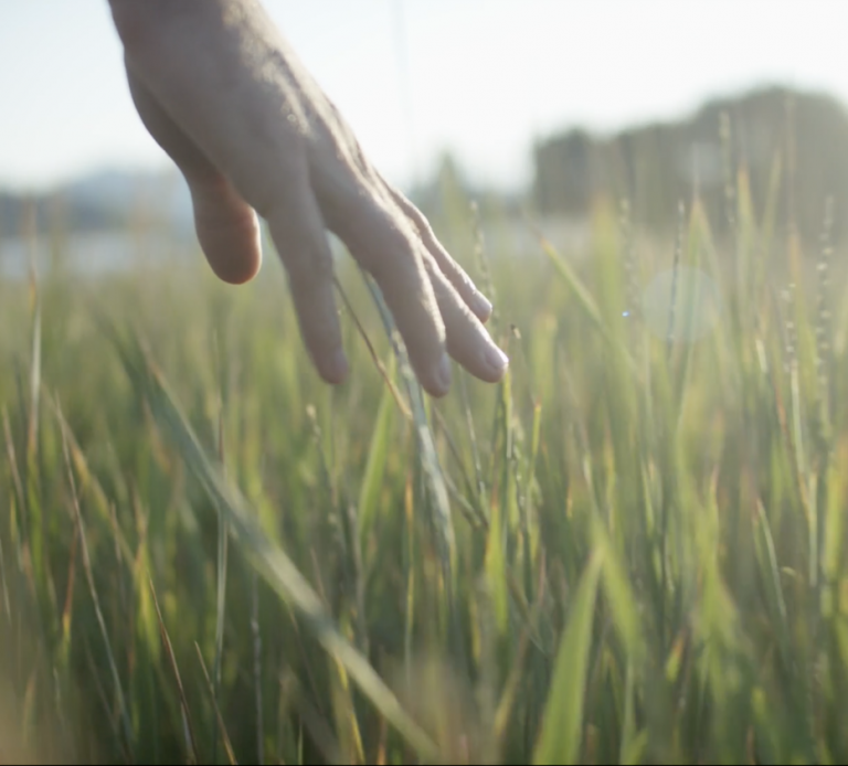 Emissaries of Divine Light Home - Emissaries Of Divine Light